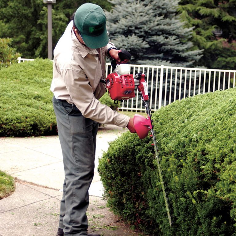 Products | Little Wonder | Clean it up